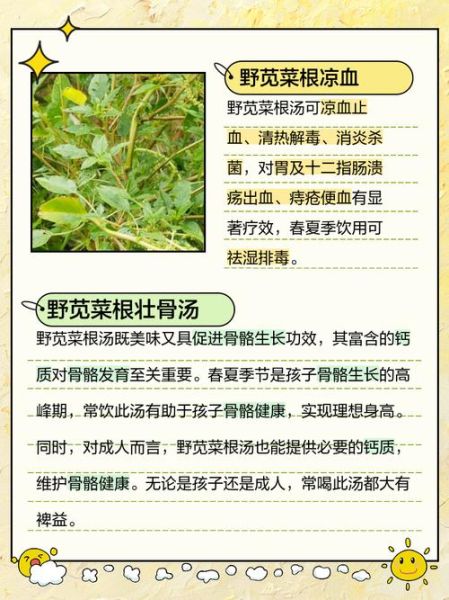 苋菜梗臭卤水怎么做_苋菜梗臭卤水做法视频-第2张图片-山城妙识