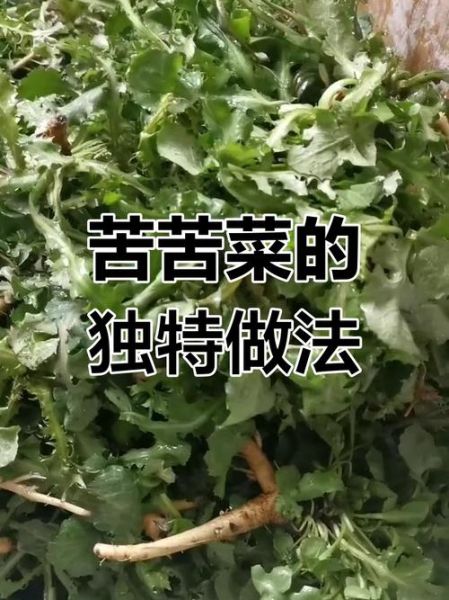 苣荬菜怎么吃_苣荬菜的做法大全-第1张图片-山城妙识
