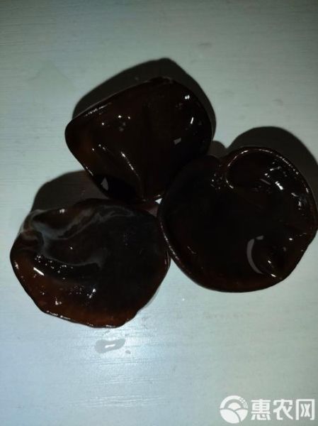 黑色滑滑菌菇是什么_黑色滑滑菌菇怎么吃-第1张图片-山城妙识