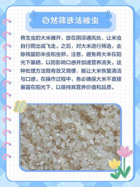 大米生虫子怎么办_大米生虫处理小诀窍视频-第2张图片-山城妙识 大米生虫子怎么办_大米生虫处理小诀窍视频-第2张图片-山城妙识