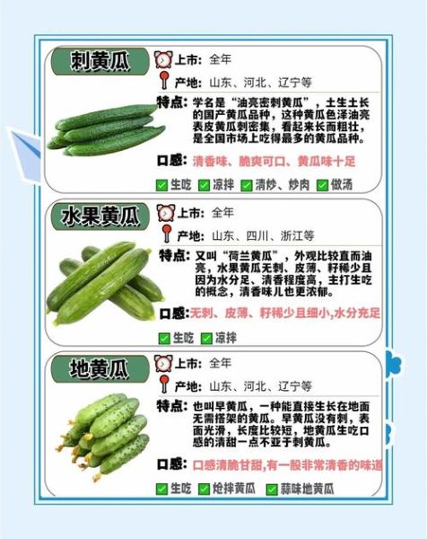 菜瓜和黄瓜的区别_哪个更适合凉拌-第1张图片-山城妙识