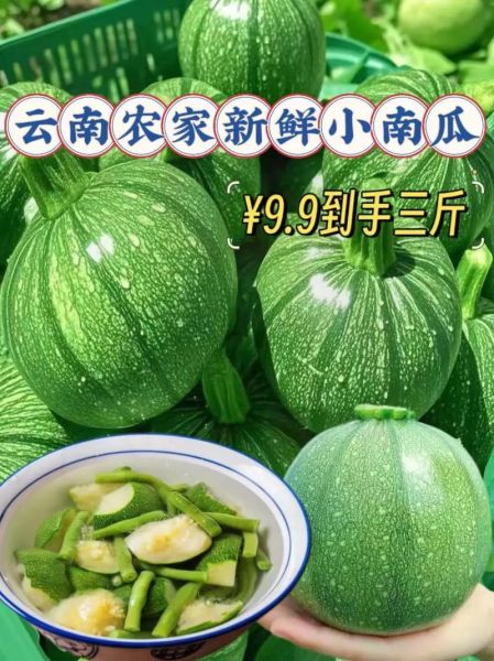 绿皮小南瓜怎么吃_绿皮小南瓜的做法大全-第1张图片-山城妙识