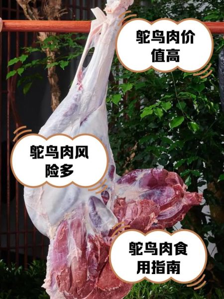 鸵鸟肉案真相_鸵鸟肉安全吗-第3张图片-山城妙识 鸵鸟肉案真相_鸵鸟肉安全吗-第3张图片-山城妙识