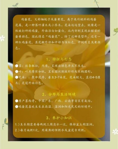 鸡蛋花怎么煮_鸡蛋花有什么功效-第3张图片-山城妙识