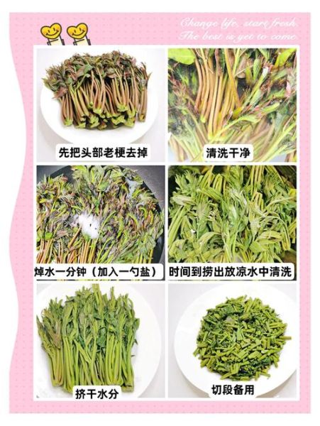 香椿怎么腌制_香椿咸菜的做法步骤-第1张图片-山城妙识 香椿怎么腌制_香椿咸菜的做法步骤-第1张图片-山城妙识