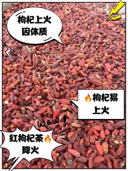 枸杞是热性还是凉性_枸杞上火还是降火-第2张图片-山城妙识