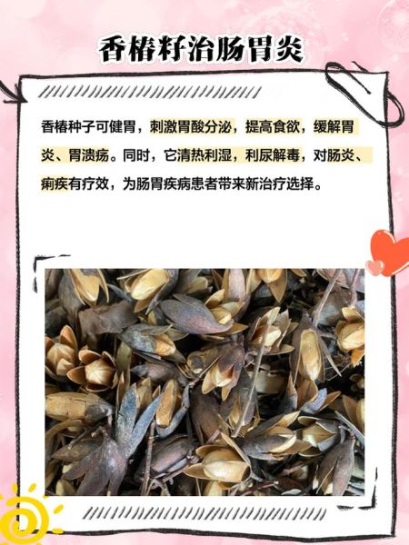 香椿子怎么吃_香椿子食用方法大全-第3张图片-山城妙识 香椿子怎么吃_香椿子食用方法大全-第3张图片-山城妙识
