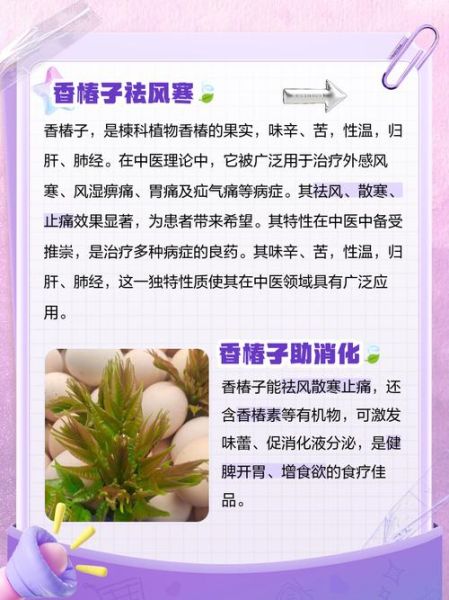 香椿子怎么吃_香椿子食用方法大全-第2张图片-山城妙识 香椿子怎么吃_香椿子食用方法大全-第2张图片-山城妙识