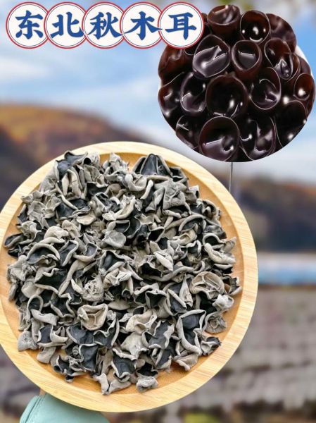 东北秋木耳的功效与作用_东北秋木耳怎么吃最好-第1张图片-山城妙识 东北秋木耳的功效与作用_东北秋木耳怎么吃最好-第1张图片-山城妙识