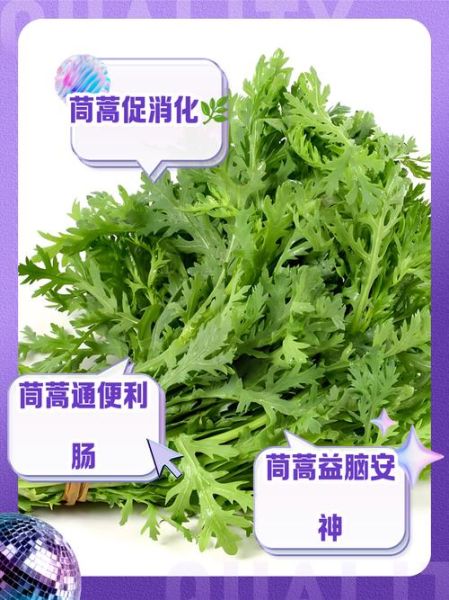茼蒿致癌是真的吗_茼蒿功效与作用禁忌-第1张图片-山城妙识