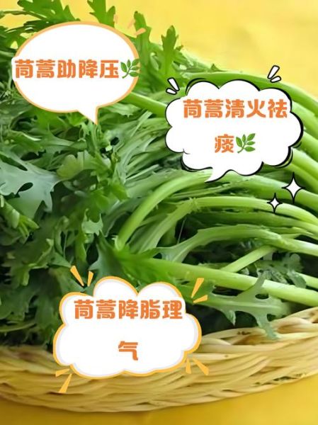 茼蒿致癌是真的吗_茼蒿功效与作用禁忌-第3张图片-山城妙识