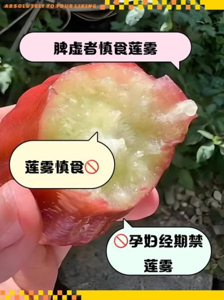 莲雾什么人不能吃_莲雾禁忌人群有哪些-第2张图片-山城妙识 莲雾什么人不能吃_莲雾禁忌人群有哪些-第2张图片-山城妙识