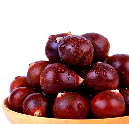 锥栗和板栗的区别_锥栗怎么做好吃-第3张图片-山城妙识 锥栗和板栗的区别_锥栗怎么做好吃-第3张图片-山城妙识