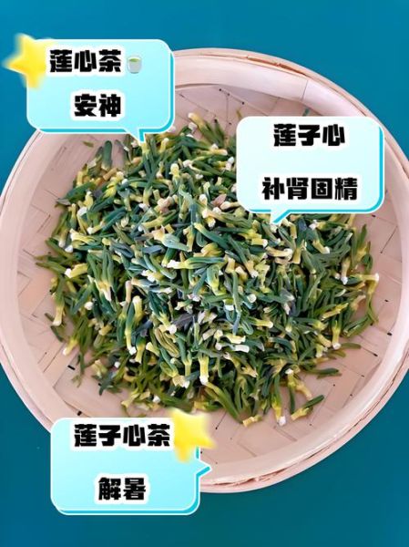 莲子心泡茶一次放几颗_莲子心泡茶用量多少合适-第1张图片-山城妙识 莲子心泡茶一次放几颗_莲子心泡茶用量多少合适-第1张图片-山城妙识