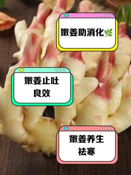 鲜姜的功效与作用_鲜姜怎么吃最好-第1张图片-山城妙识