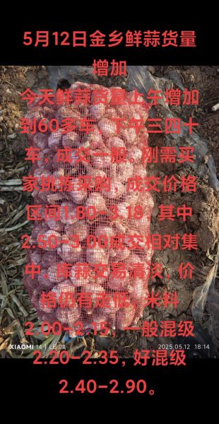 今日金乡大蒜最新价格_金乡大蒜价格走势-第3张图片-山城妙识 今日金乡大蒜最新价格_金乡大蒜价格走势-第3张图片-山城妙识