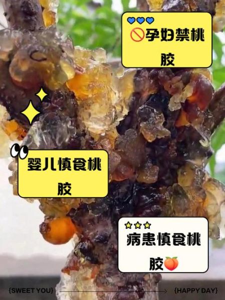 吃桃胶的禁忌_桃胶哪些人不能吃-第2张图片-山城妙识 吃桃胶的禁忌_桃胶哪些人不能吃-第2张图片-山城妙识