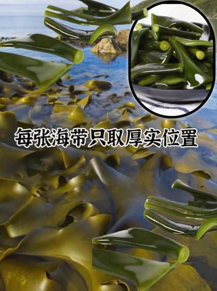 海带根的功效与作用_海带根怎么吃最营养-第2张图片-山城妙识