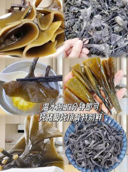 海带根的功效与作用_海带根怎么吃最营养-第3张图片-山城妙识