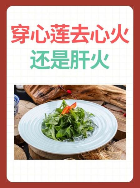 穿心莲的功效与作用有哪些_穿心莲的禁忌症是什么-第1张图片-山城妙识