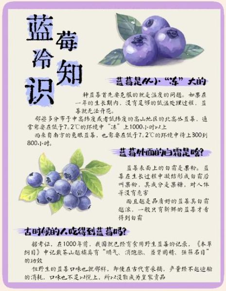 蓝莓的功效与作用有哪些_蓝莓的禁忌是什么-第2张图片-山城妙识 蓝莓的功效与作用有哪些_蓝莓的禁忌是什么-第2张图片-山城妙识