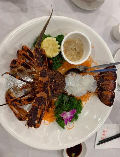 澳龙与红龙哪个贵_澳龙和红龙价格对比-第3张图片-山城妙识 澳龙与红龙哪个贵_澳龙和红龙价格对比-第3张图片-山城妙识