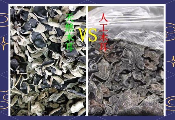 野生木耳图片_如何辨别真假-第1张图片-山城妙识 野生木耳图片_如何辨别真假-第1张图片-山城妙识