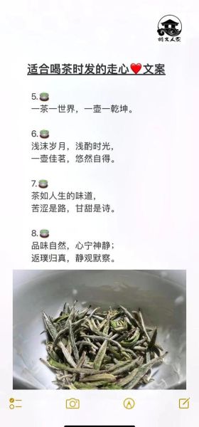 适合发朋友圈的茶语有哪些_如何写出高赞文案-第3张图片-山城妙识