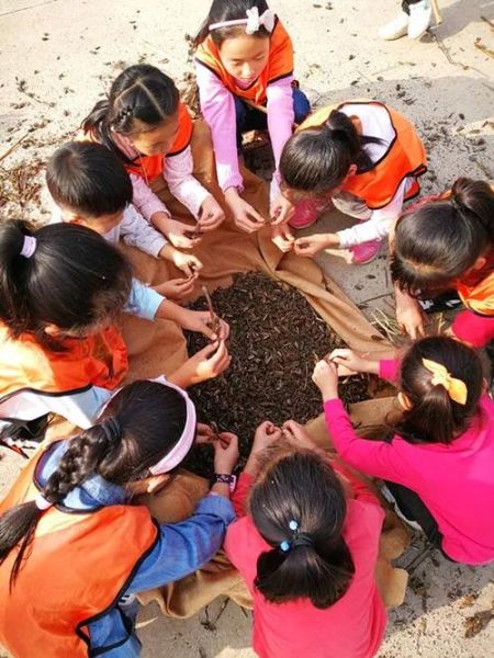 芝麻女孩图片_芝麻女孩图片背后的故事-第3张图片-山城妙识 芝麻女孩图片_芝麻女孩图片背后的故事-第3张图片-山城妙识