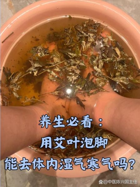 艾叶有什么作用和功效_艾叶泡脚的正确方法-第2张图片-山城妙识 艾叶有什么作用和功效_艾叶泡脚的正确方法-第2张图片-山城妙识