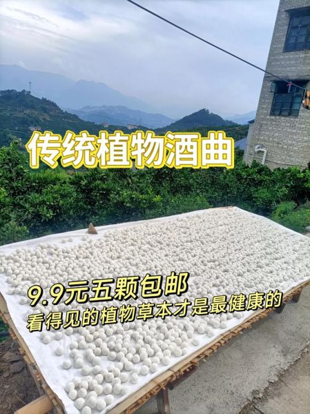 酒曲图片大全_如何挑选酒曲-第3张图片-山城妙识 酒曲图片大全_如何挑选酒曲-第3张图片-山城妙识