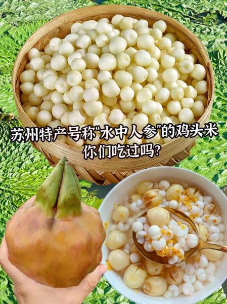 鸡头米怎么挑选_鸡头米和芡实一样吗-第3张图片-山城妙识 鸡头米怎么挑选_鸡头米和芡实一样吗-第3张图片-山城妙识