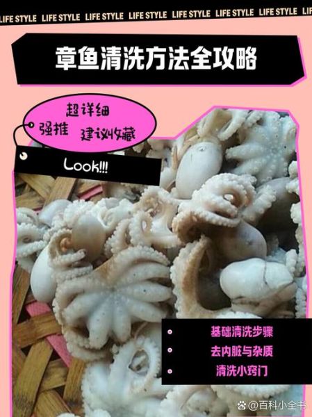 八爪鱼怎么处理_八爪鱼怎么杀干净-第1张图片-山城妙识 八爪鱼怎么处理_八爪鱼怎么杀干净-第1张图片-山城妙识
