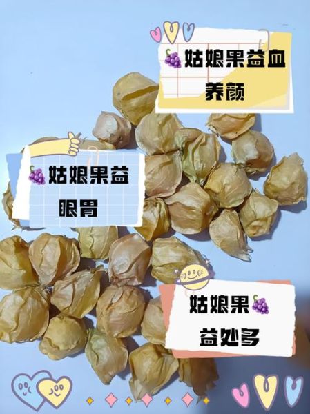 洋姑娘的学名是什么_洋姑娘和灯笼果区别-第3张图片-山城妙识 洋姑娘的学名是什么_洋姑娘和灯笼果区别-第3张图片-山城妙识