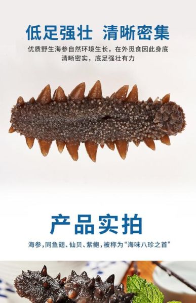 海参哪个品牌质量最好_海参哪个牌子好-第1张图片-山城妙识 海参哪个品牌质量最好_海参哪个牌子好-第1张图片-山城妙识