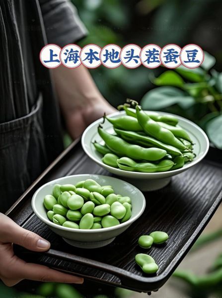 新鲜蚕豆怎么做好吃_蚕豆的家常做法大全-第3张图片-山城妙识 新鲜蚕豆怎么做好吃_蚕豆的家常做法大全-第3张图片-山城妙识