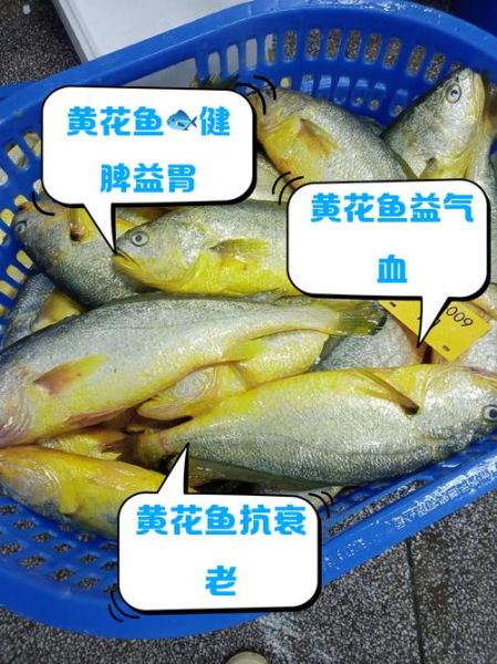 黄花鱼的营养价值_孕妇能吃黄花鱼吗-第1张图片-山城妙识