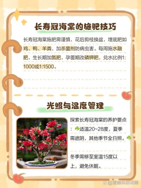 长寿果海棠怎么养_长寿果海棠的寓意-第1张图片-山城妙识