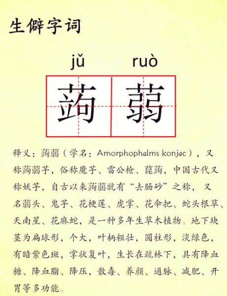 蒟蒻怎么读拼音_蒟蒻是什么意思-第1张图片-山城妙识