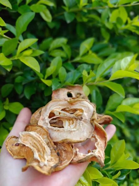 木瓜干泡水喝有什么好处_木瓜干泡水怎么喝才有效-第3张图片-山城妙识