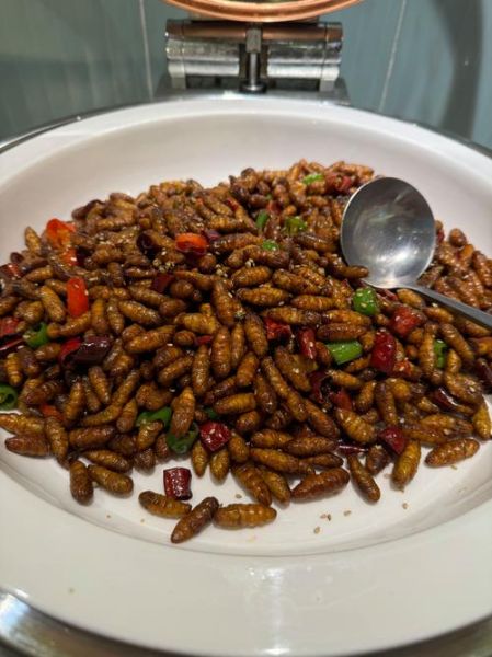 蚕蛹怎么炸不爆_蚕蛹油炸技巧-第2张图片-山城妙识