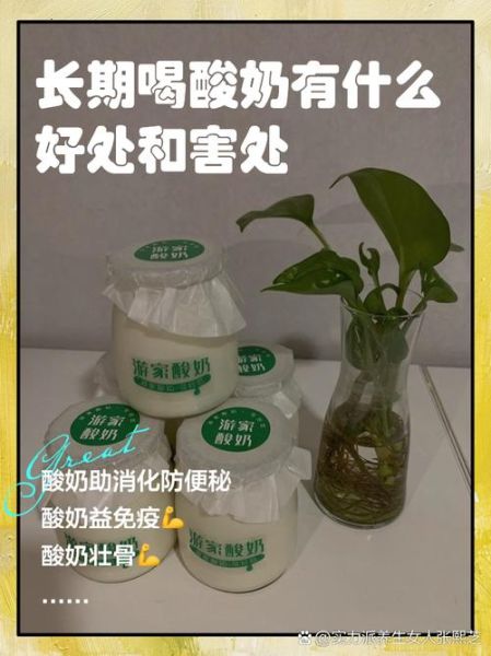 酸奶的好处和坏处有哪些_长期喝酸奶的副作用-第1张图片-山城妙识