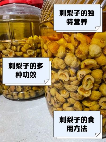 野刺梨多少钱一斤_野刺梨价格受哪些因素影响-第3张图片-山城妙识 野刺梨多少钱一斤_野刺梨价格受哪些因素影响-第3张图片-山城妙识