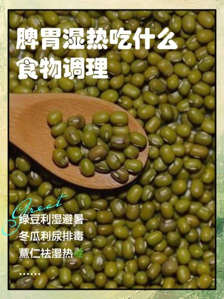 湿热吃什么食物好_湿热体质饮食禁忌-第2张图片-山城妙识 湿热吃什么食物好_湿热体质饮食禁忌-第2张图片-山城妙识