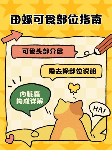 田螺吃哪个部位图解_田螺可食用部位详解-第1张图片-山城妙识 田螺吃哪个部位图解_田螺可食用部位详解-第1张图片-山城妙识