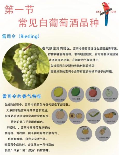 白葡萄的功效与作用_白葡萄和青葡萄的区别-第2张图片-山城妙识 白葡萄的功效与作用_白葡萄和青葡萄的区别-第2张图片-山城妙识