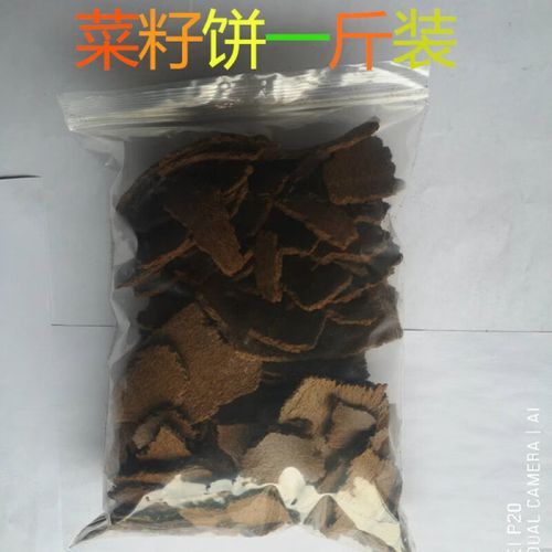 菜籽饼怎么做窝料_菜籽饼打窝效果好吗-第1张图片-山城妙识 菜籽饼怎么做窝料_菜籽饼打窝效果好吗-第1张图片-山城妙识