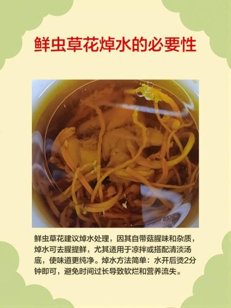 虫草花煲汤的功效与作用_适合哪些人喝-第3张图片-山城妙识 虫草花煲汤的功效与作用_适合哪些人喝-第3张图片-山城妙识
