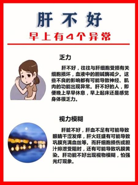 男性肝脏不好的4个表现_怎么调理-第1张图片-山城妙识 男性肝脏不好的4个表现_怎么调理-第1张图片-山城妙识