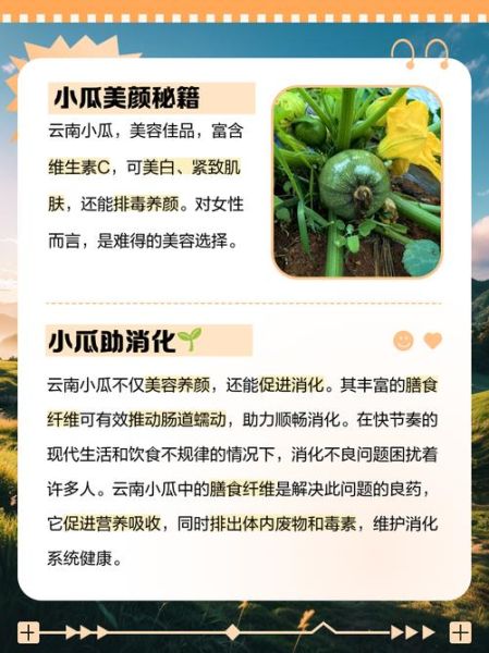 小瓜的功效与作用禁忌_小瓜不能和什么一起吃-第2张图片-山城妙识 小瓜的功效与作用禁忌_小瓜不能和什么一起吃-第2张图片-山城妙识